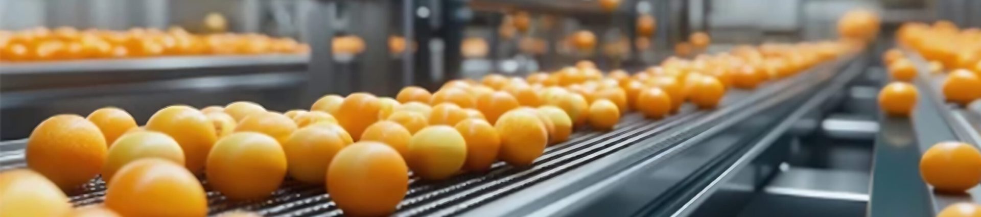 The Importance of Weight Sorting in Food Processing | Easyweigh