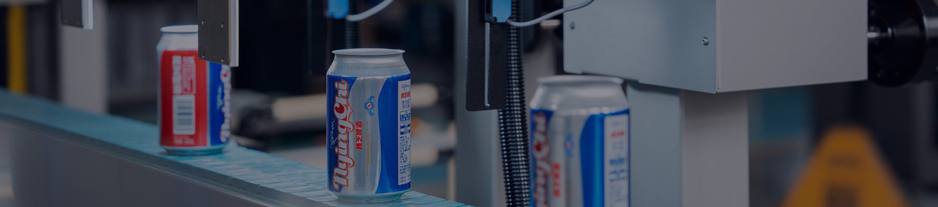 How Does an Optical Sorting Machine Work? | Weightsorting