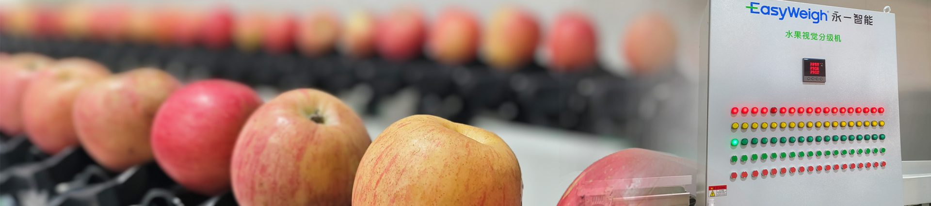 The Role of AI in Revolutionizing Optical Sorting Machines Weightsorting