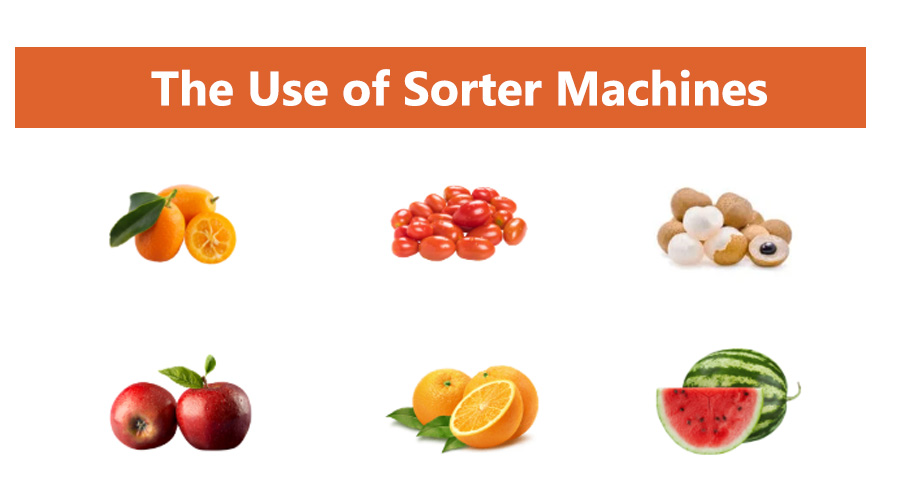 The Role of AI in Revolutionizing Optical Sorting Machines Weightsorting