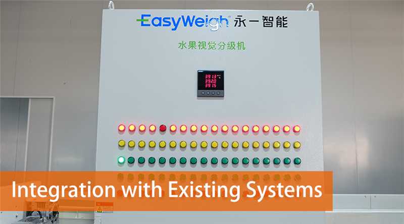 Top 10 Features to Look for in a Vision Sorting Machine Weightsorting