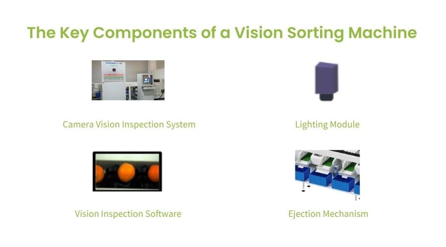 What Is a Vision Sorting Machine? Weightsorting