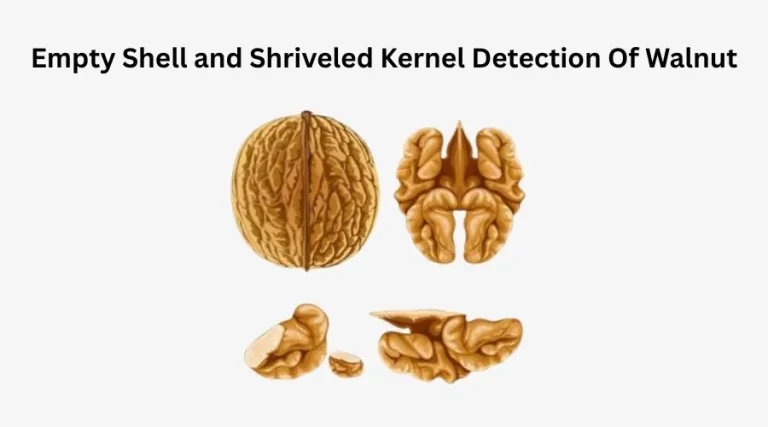 The 2026 Buyer’s Guide to AI-Driven Walnut Sorting & Non-Destructive ...